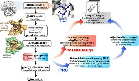 The Seven‐step Desader Schematic Overview Of Enzyme Redesign