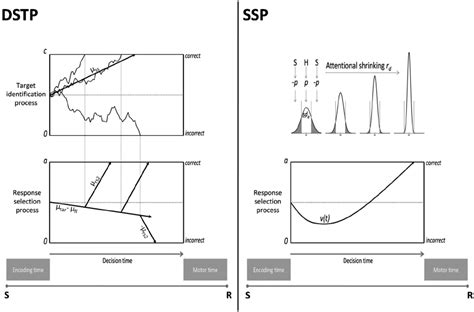 Diffusion Models Incorporating Selective Attention Mechanisms An Download Scientific Diagram