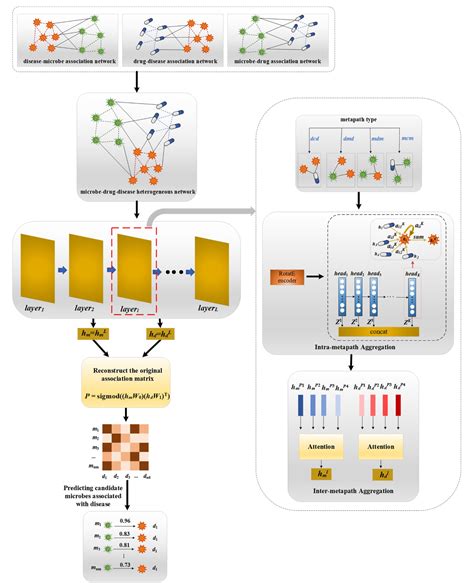 Figure 3 From Metapath Aggregated Graph Neural Network And Tripartite