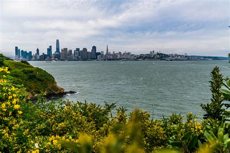스카이 라인 도시 샌 프란 시스 코 캘리포니아의 보물섬에서 베이 지역에 걸쳐 야생 꽃 볼 0명에 대한 스톡 사진 및 기타 이미지 0명 건물 외관 경관 Istock