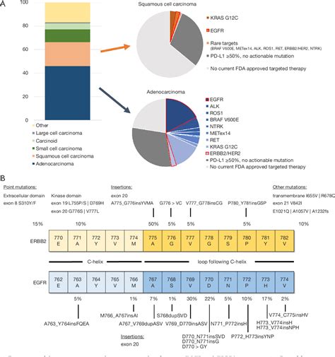 Figure 1 From Egfr Exon 20 Insertion Mutations And Erbb2 Mutations In