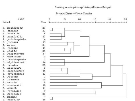 Cluster Diagram Using Average Linkage Between Groups Showing The Download Scientific Diagram