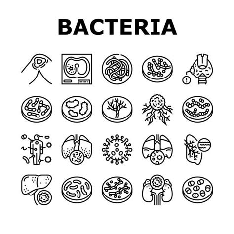 2200 Autoimmune Disease Stock Illustrations Royalty Free Vector