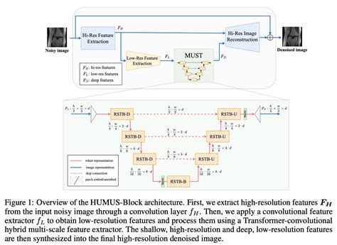 Neurips 2022 Humus Net：用于加速mri重建的混合展开多尺度网络结构hybrid Unrolled Multi