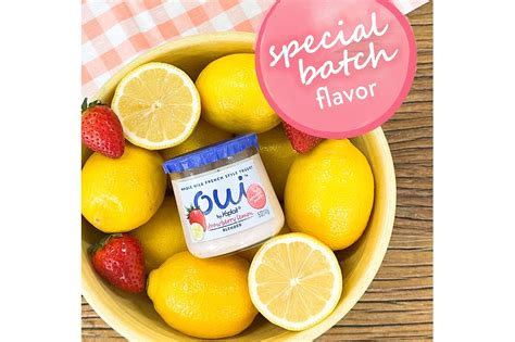 French Style Yogurt Brand Adds New Flavor Dairy Processing