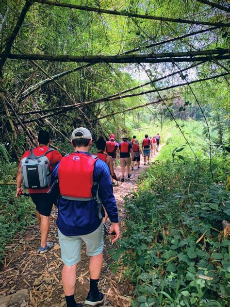 El Yunque Rainforest And Bio Bay Combo Tour San Juan Project Expedition