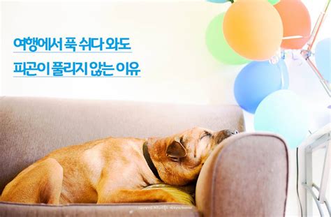 비즈니스북스 자고 또 자고 아무리 푹 쉬어도 피로가 가시지 않는다면 이것을 의심해봐야 한다