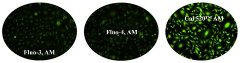 Cal Cal And Cal Calcium Detection Reagents Aat