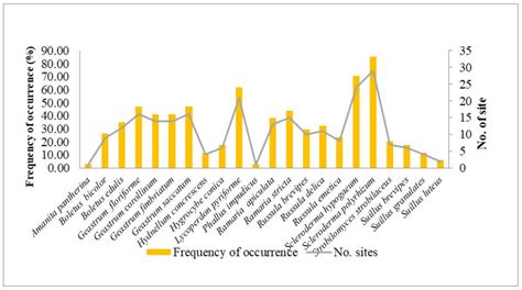Frequency Of Occurence And No Of Sites From Which Mycorrhizal Download Scientific Diagram
