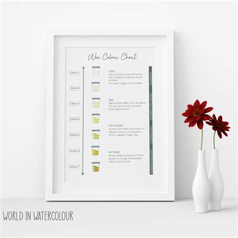 Wee Colour Chart Etsy