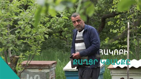 Ագարակում մեղվապահությունը զարգանում է Youtube