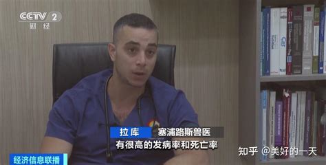 “猫岛”上病毒蔓延，超30万只猫死亡！病毒可能已扩散 知乎