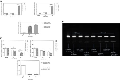 Molecular Analysis The Effect Of Parthenolide Epirubicin And Their