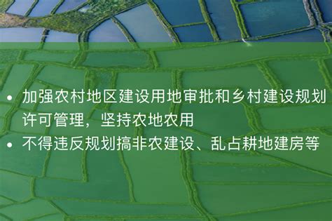 国务院办公厅“六个严禁” 坚决制止各类耕地“非农化”行为