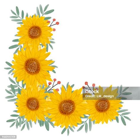수채화 해바라기 꽃 테두리 프레임입니다 노란 꽃 정원 농가 경계 손으로 그린 수채화 그림이 격리되어 있습니다 가을 꽃 추수 감사절 가을 0명에 대한 스톡 벡터 아트 및 기타