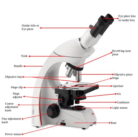 Resolution And Magnification The Optics Behind The Microscope Microbiology Class