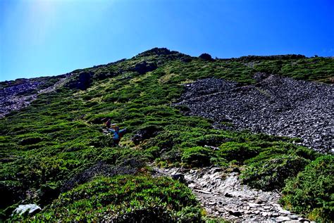 Flickr