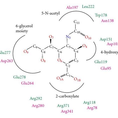 Schematic Representation Of Dana And Its Four Constituent Groups