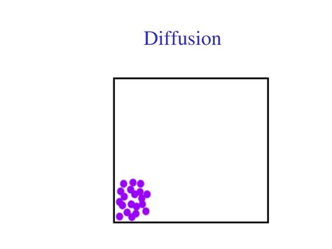 Diffusion And Osmosis How Does Stuff Get Into And Out Of A Cell Ppt