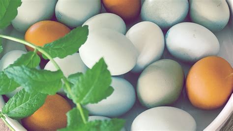 Este Consumul De Ouă Crude Sigur și Sănătos Nutriționist „fierte Moi