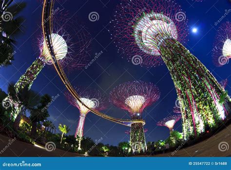 Super Tree Editorial Photography Image Of Tree Landmarks 25547722