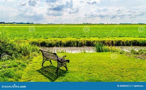 Typical Polder Landscape At The Historic Village Of Midden Beemster In