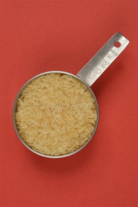Measuring Cup Filled With Rice Stock Photo Image Of Filled