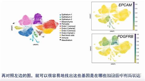单细胞rna测序 知乎