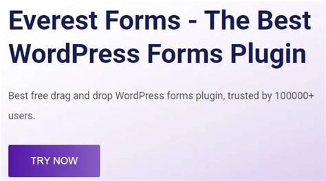Compare Everest Forms Vs Fluent Forms Which Is Best In 2025