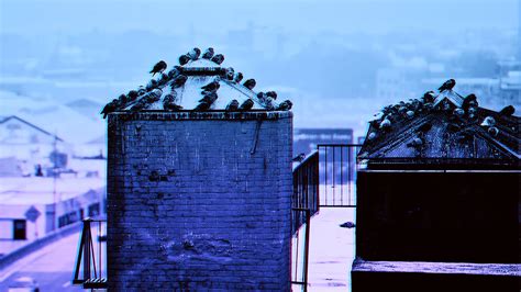 A Brief History Of Twitters 140 Character Limit Fast Company
