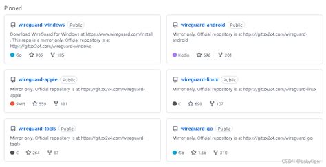 Wireguard Windowslinux版本clientserver的配置windows11怎么安装wire Guard Csdn博客