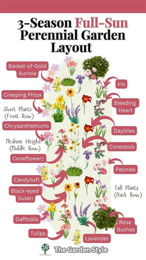 How To Design And Plant A Perennial Garden Guide With Plans The