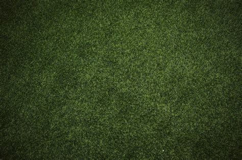 Premium Photo Full Frame Shot Of Grassy Land