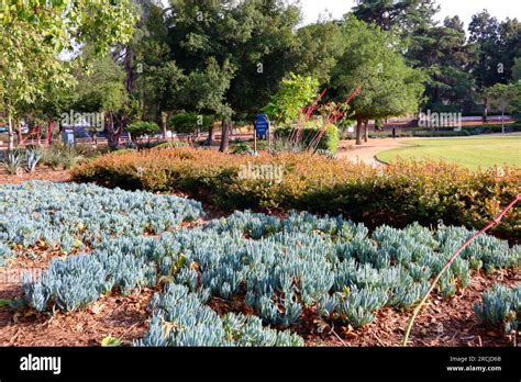 Los Angeles California Tom Labonge Aqueduct Centennial Garden Stock