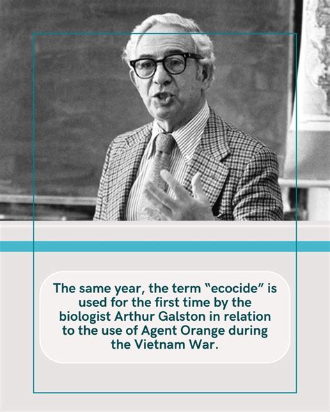 End Ecocide On Earth Join Us To Shape Our Common Evolution Free Of