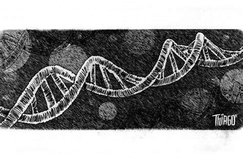 Assassino é Descoberto Após Ter Seu Dna Localizado Em Um Site De Genealogia