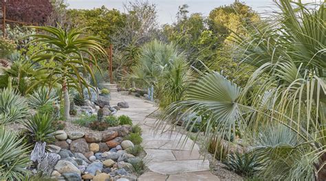 The Ruth Bancroft Garden And Nursery A Dry Garden Oasis In Walnut Creek Ca