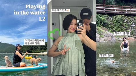 이렇게 큰 대왕해파리 처음 봤음 조용한계곡 북적한바닷가 비오는계곡러키비키 댕댕이천국 거제도명사해수욕장 강아지들이랑 패들보드