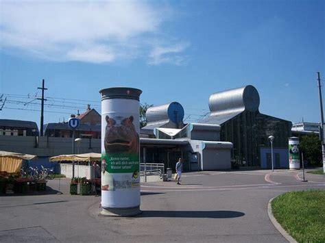 Liesing Bezirk Kiwithek