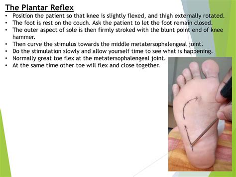 Part 5 Examination Of Reflex Pptx