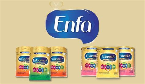 Các Dòng Sữa Enfa Cho Bé được ưa Chuộng Trên Thị Trường Hiện Nay