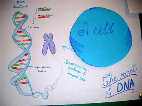 Genetics Super Posters