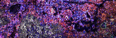 multiplexing and spatial biology resource center cell signaling