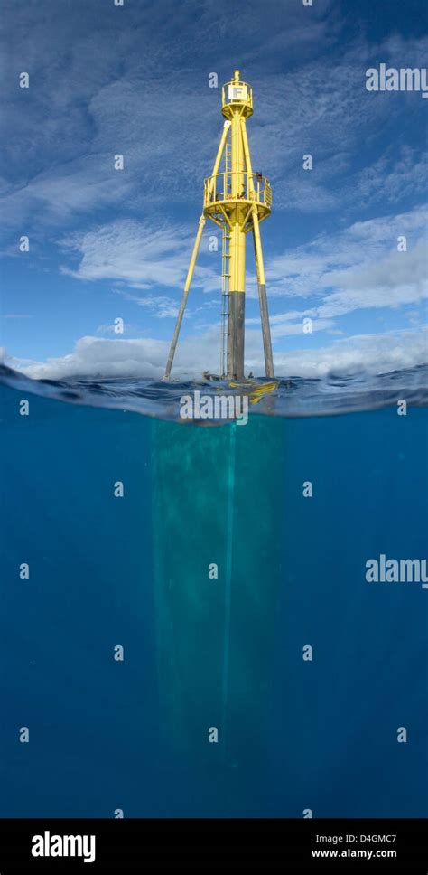 wave energy devices