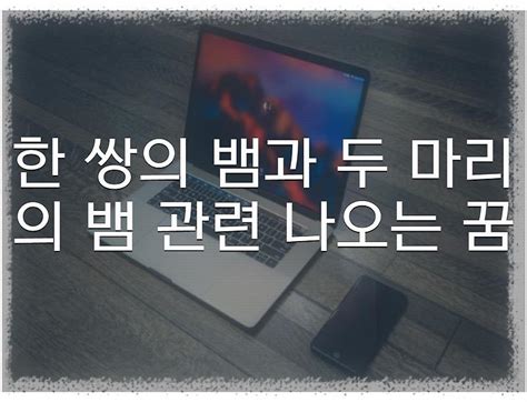 한 쌍의 뱀과 두 마리의 뱀 관련 나오는 꿈