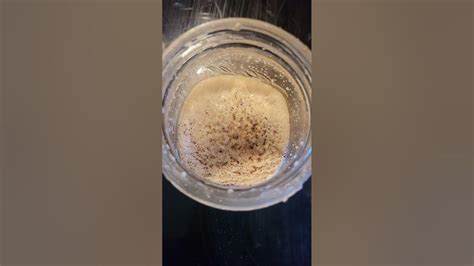 Clarifying Bacon Grease Final Update Jkshomestead Lifehacks