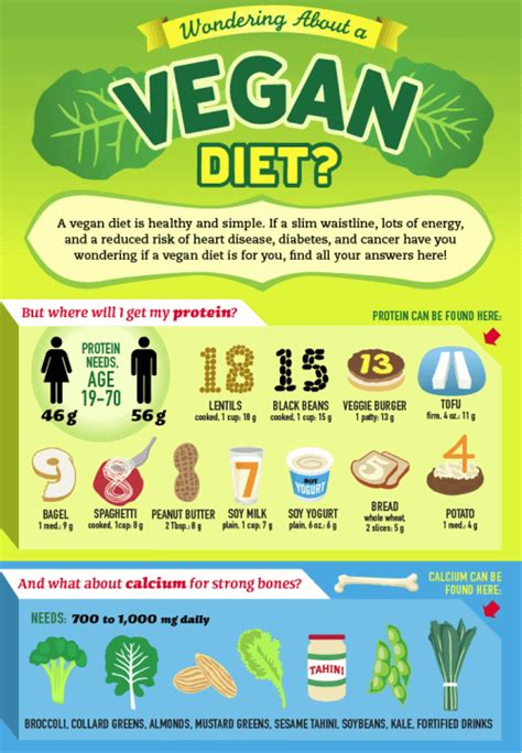 Vegan Diet Detailed Guide For Beginners Update 2023 17 Things