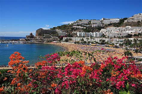 View Of Beach Over Flowers Puerto Rico License Image