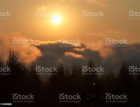 아름다운 산과 자연의 경치 구름 위의 일몰 태양이 배경에 구름을 통해 빛나는 소나무와 전경의 식물의 실루엣 0명에 대한 스톡