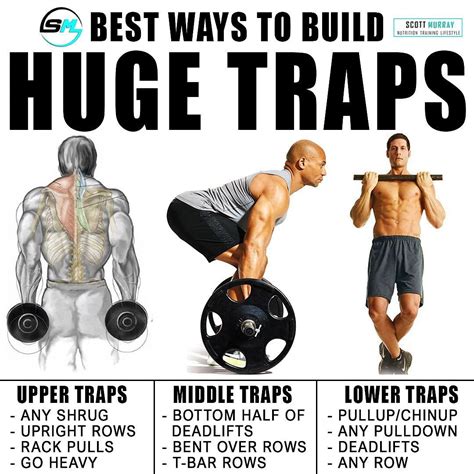 Exercises To Grow Traps Hotsell